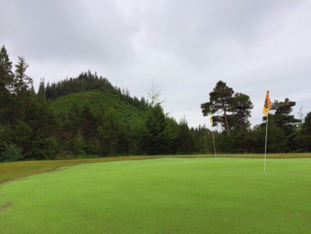 Talk on the Rock 100: Kristy Woodbury on Muskeg Meadows - KSTK