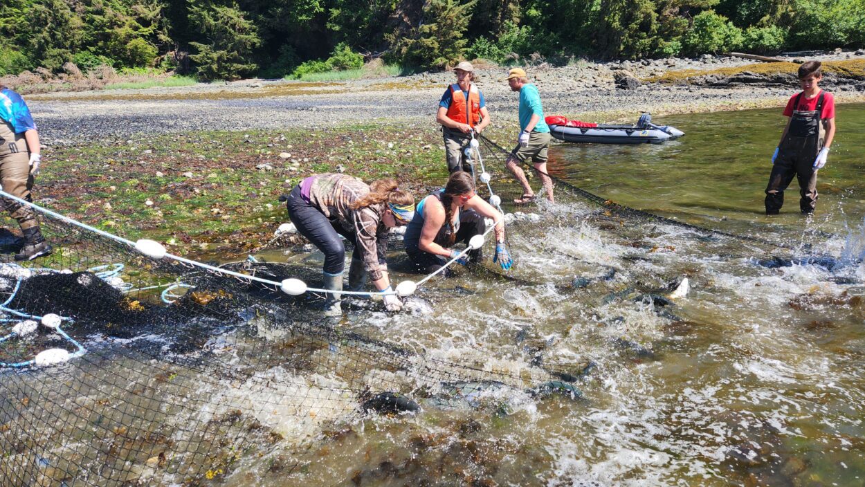 New online tool for subsistence users in Southeast Alaska - KSTK